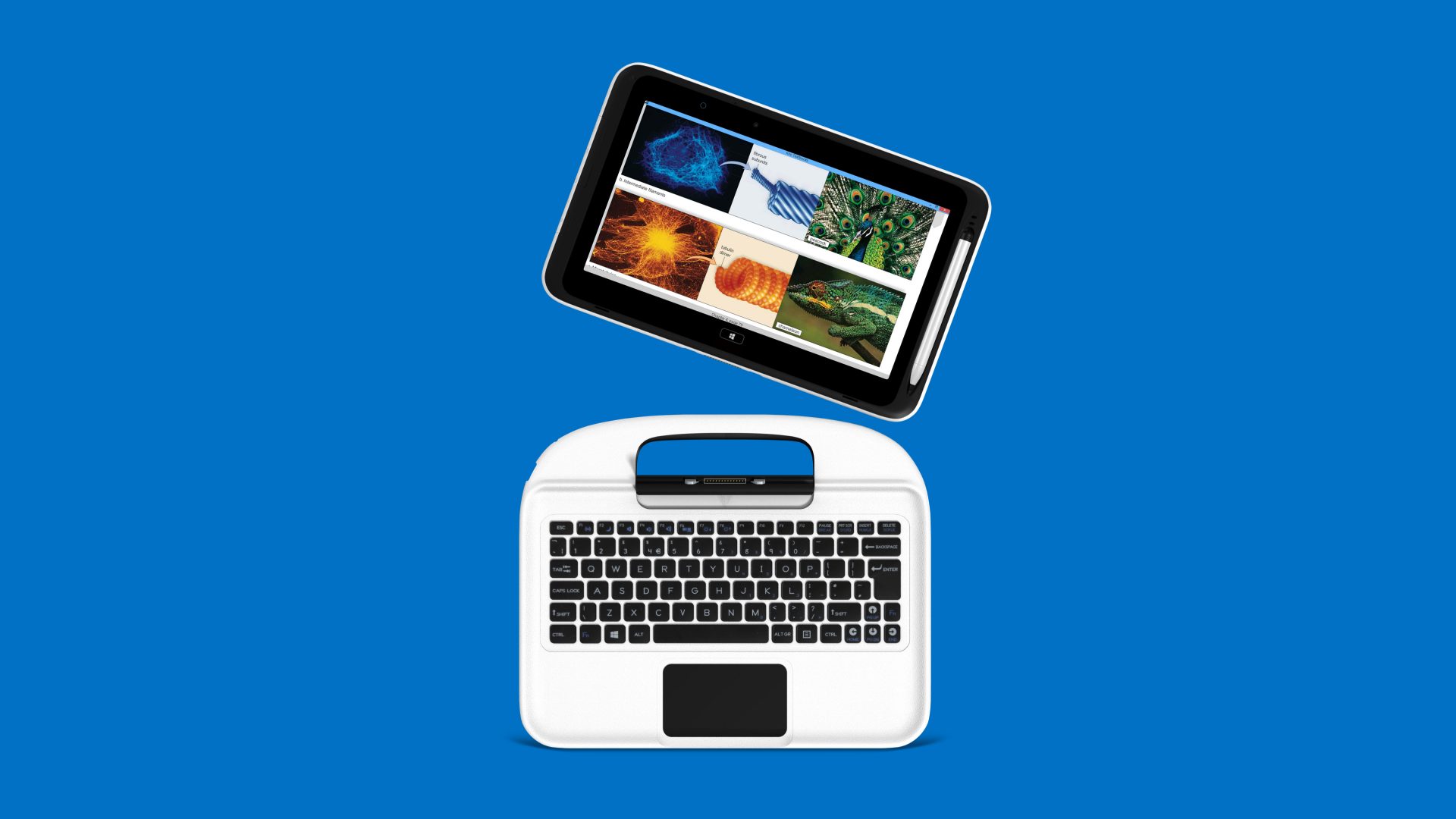 Ingram Micro wird Partner vom Education-Spezialisten Skool